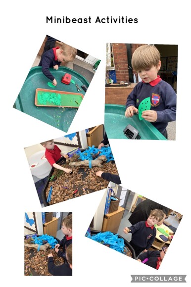 EYFS Summer Portfolio Pictures - Middleton Primary School