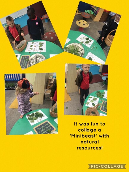 EYFS Summer Portfolio Pictures - Middleton Primary School