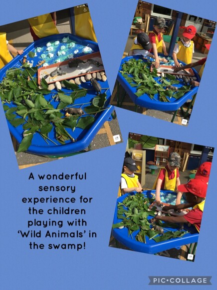 EYFS Summer Portfolio Pictures - Middleton Primary School