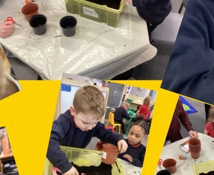 EYFS Spring Portfolio Pictures - Middleton Primary School