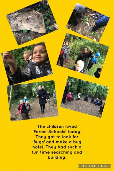 EYFS Summer Portfolio Pictures - Middleton Primary School